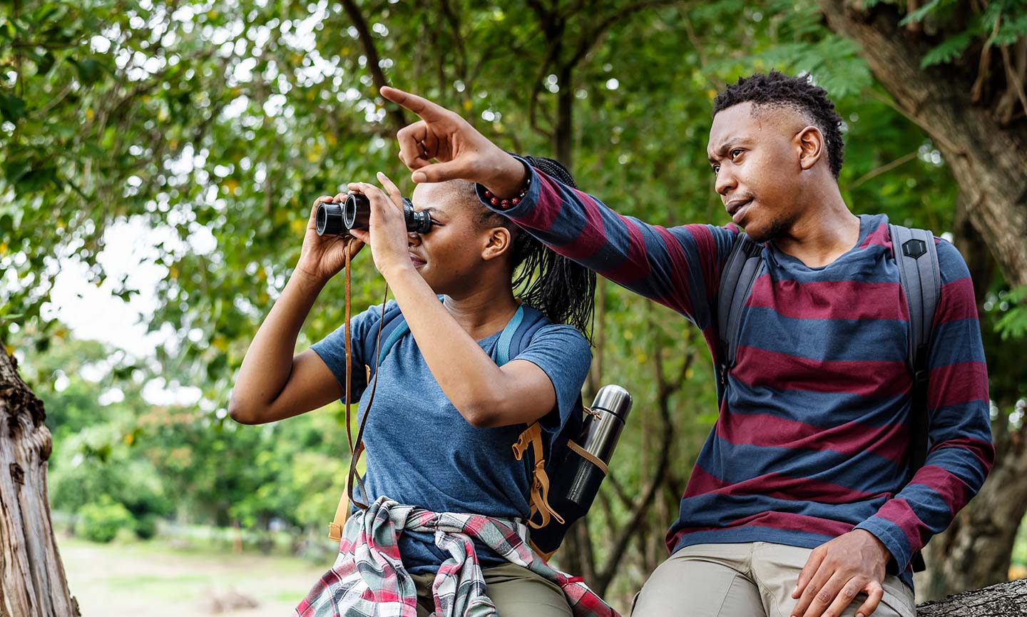 How to Raise Backyard Chickens: A Beginner's Guide | BeChewy