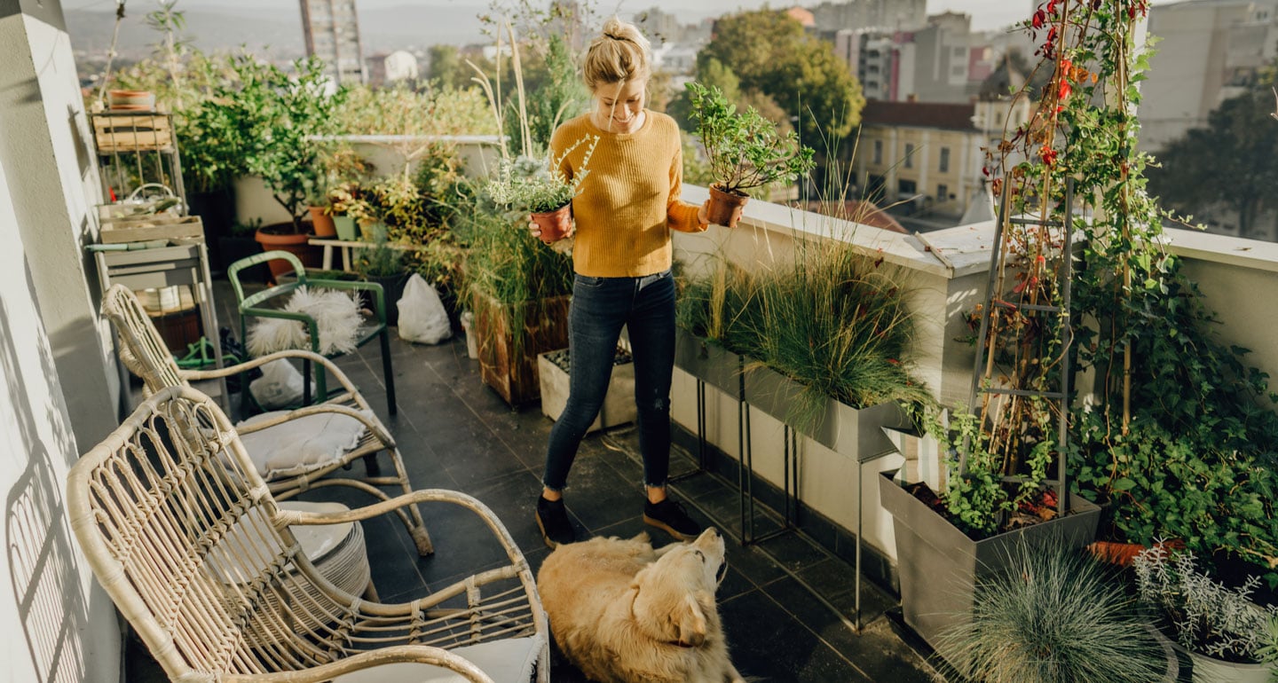 Celebrate the Planet With These 24 Earth Day Activities for Pet Parents ...