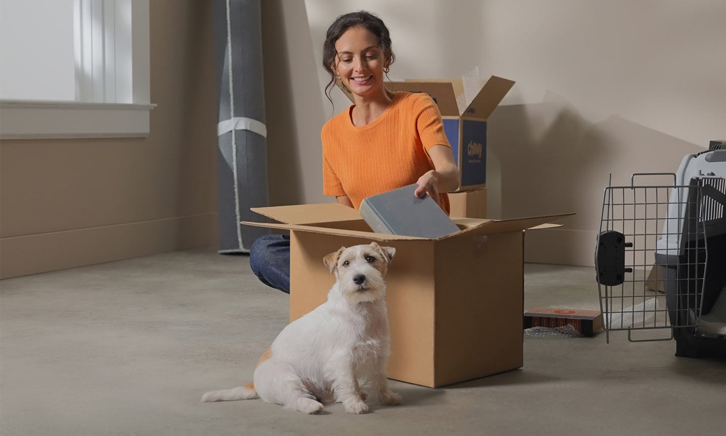 Can Moving Make A Dog Sick