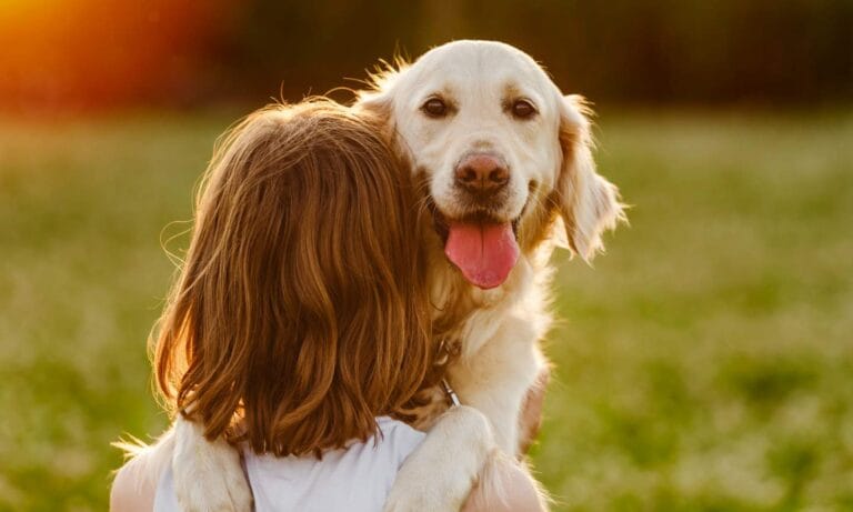 Can You Give Your Dog Too Much Affection