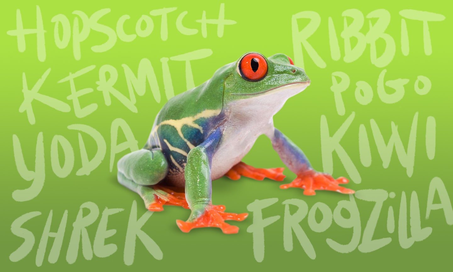 200 Frog Names for Your Amphibious Friend | BeChewy